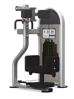 rotary torso exercise